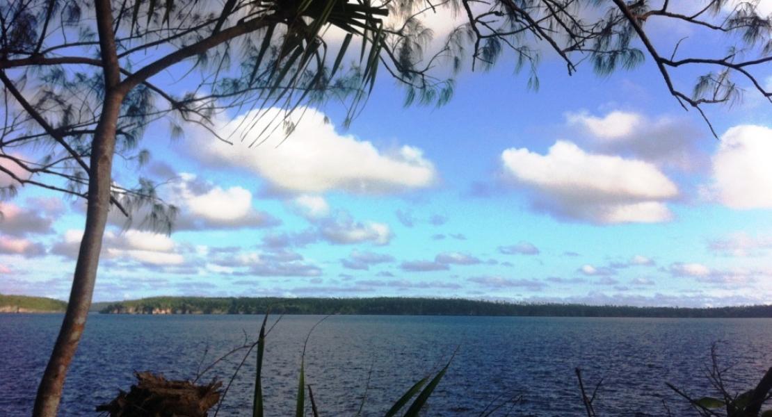 Waterfront Island lots 1/5 acre plus 3000 sf, $6,880 ...