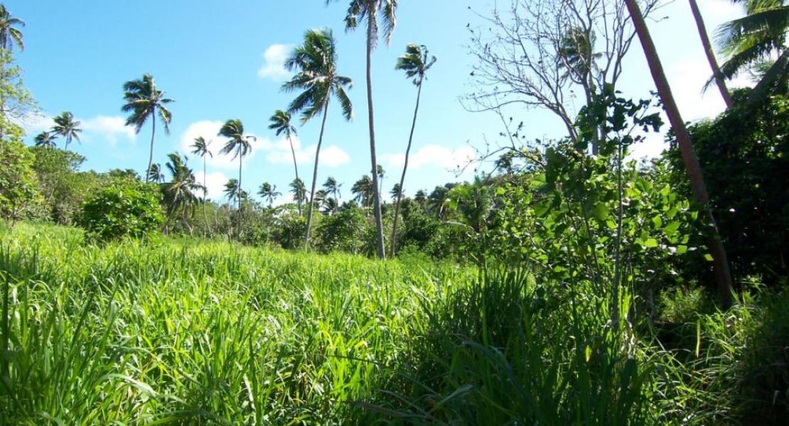 900 plus ft of waterfront with sea pool $39.9k US, Tonga ...